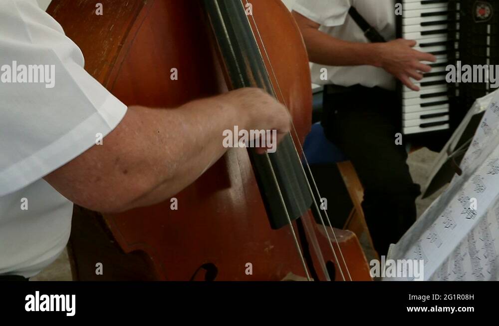 Channel bass Stock Videos & Footage - HD and 4K Video Clips - Alamy