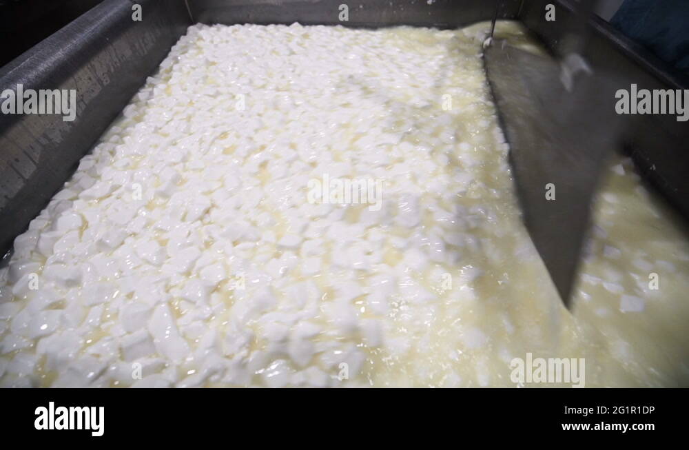 Mold and cheesemaking Stock Videos & Footage - HD and 4K Video Clips ...