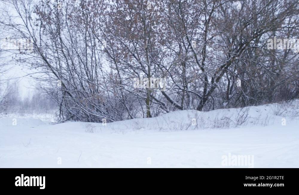 Horizontal panning Stock Videos & Footage - HD and 4K Video Clips - Alamy