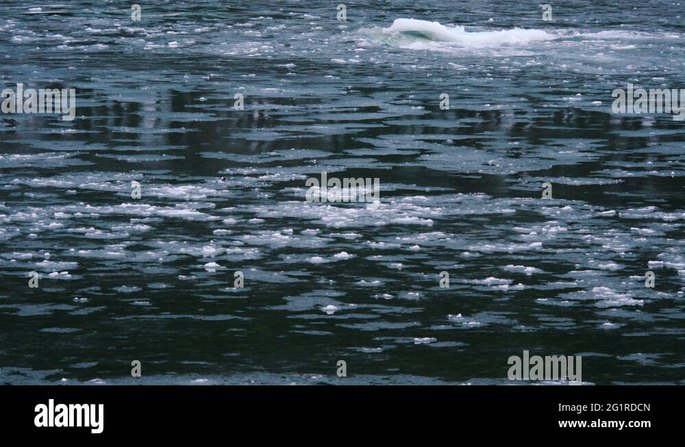 Floating sludge Stock Videos & Footage - HD and 4K Video Clips - Alamy