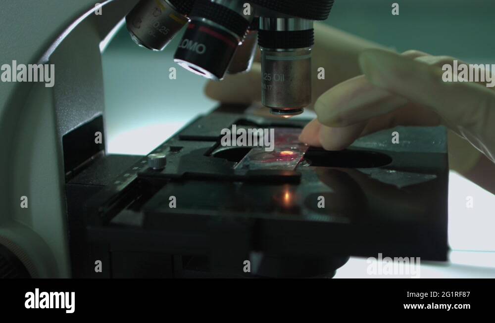 Sample assay Stock Videos & Footage - HD and 4K Video Clips - Alamy
