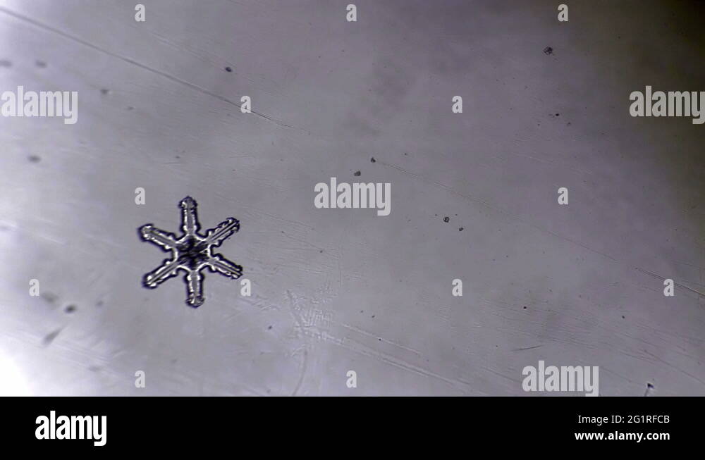 Snow crystals nature form Stock Videos & Footage - HD and 4K Video ...