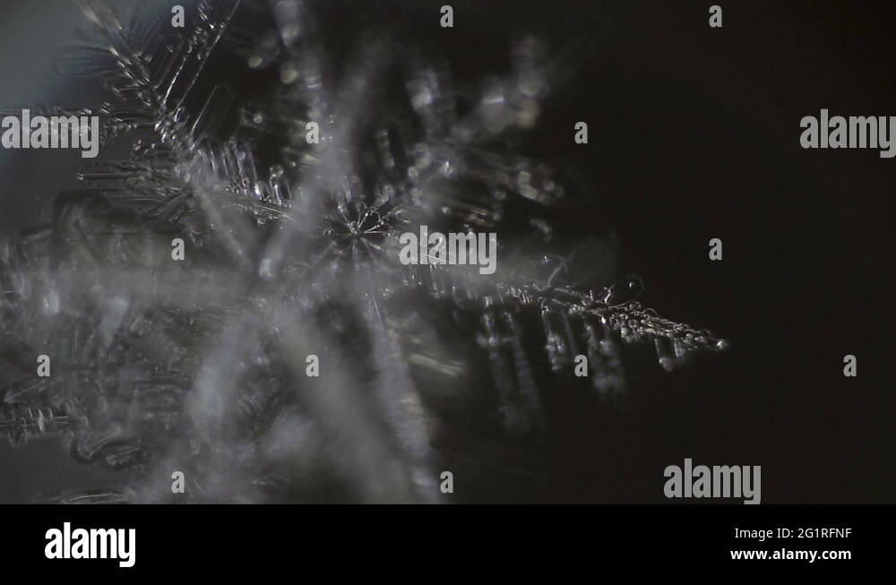 Snowflake forms Stock Videos & Footage - HD and 4K Video Clips - Alamy