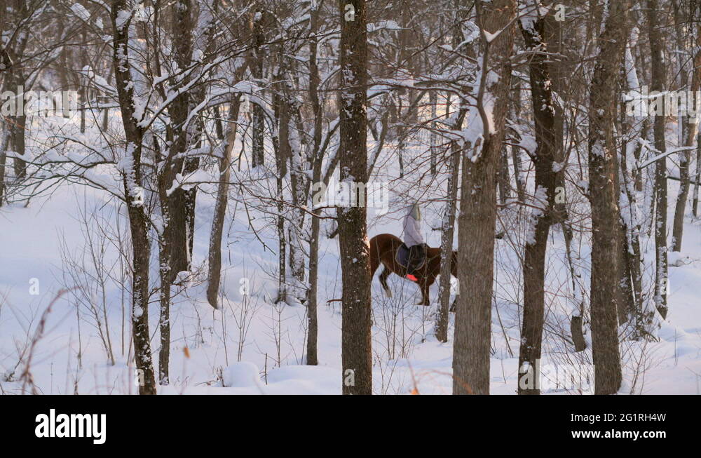 Winter wander Stock Videos & Footage - HD and 4K Video Clips - Alamy