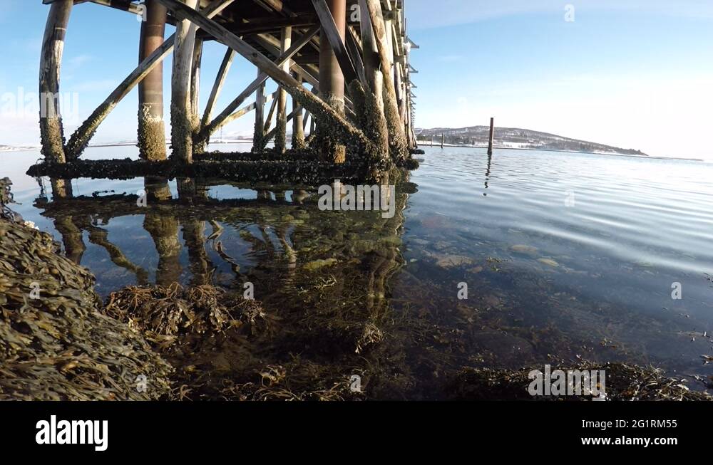 Old barnacles Stock Videos & Footage - HD and 4K Video Clips - Alamy
