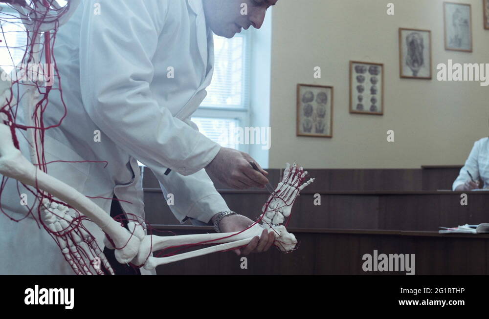 Anatomy class student Stock Videos & Footage - HD and 4K Video Clips ...