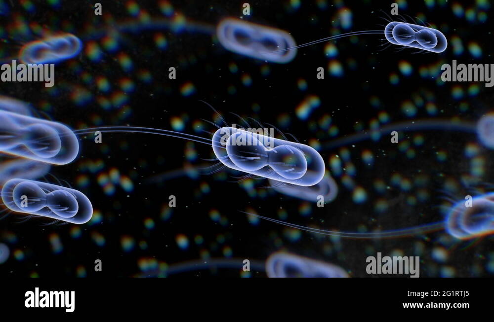 Escherichia coli microscope Stock Videos & Footage - HD and 4K Video ...