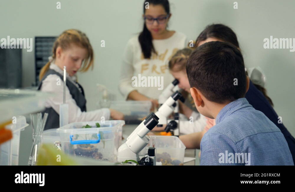 Elementary school biology class Stock Videos & Footage - HD and 4K ...