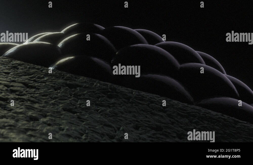 Giant microscope Stock Videos & Footage - HD and 4K Video Clips - Alamy