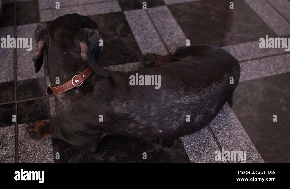 Allergic rashes Stock Videos & Footage - HD and 4K Video Clips - Alamy