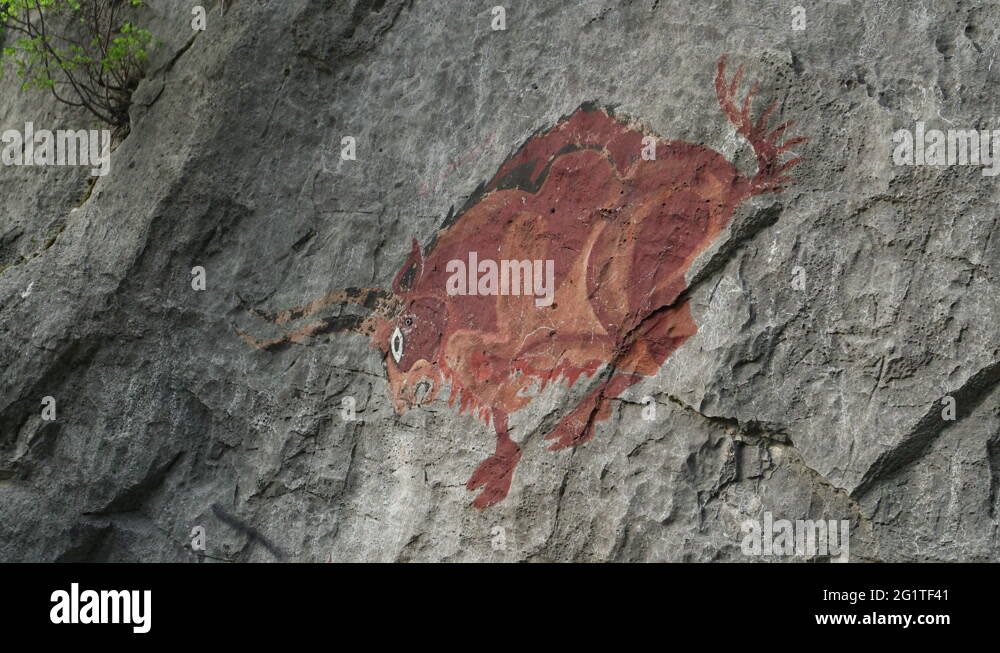 Bull graffiti looks like Altamira cave painting Stock Video Footage - Alamy