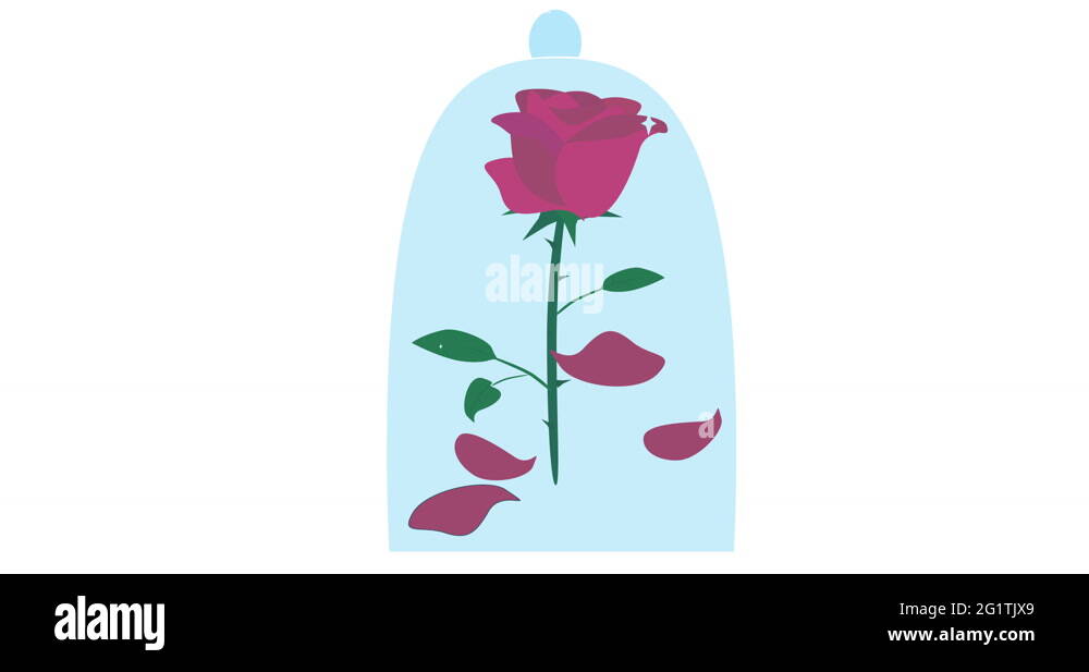 Cartoon rose Stock Videos & Footage - HD and 4K Video Clips - Alamy