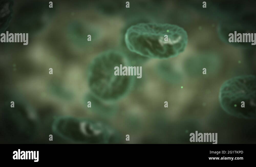 Green illness blood cell rotate Stock Video Footage - Alamy