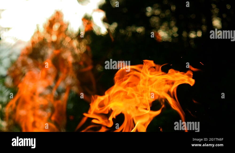 Forest Fire Burning Slow Motion Stock Video Footage - Alamy