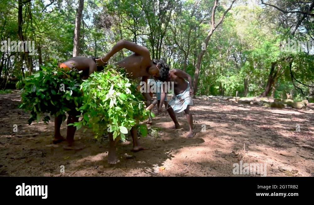 Australoid race Stock Videos & Footage - HD and 4K Video Clips - Alamy