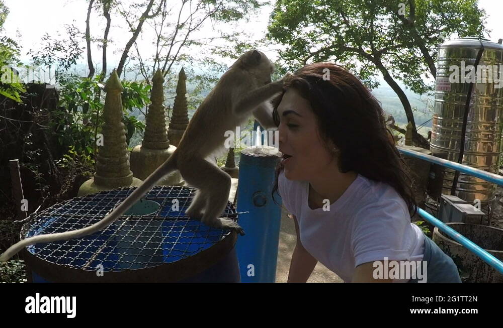 Back of the animal Stock Videos & Footage - HD and 4K Video Clips - Alamy