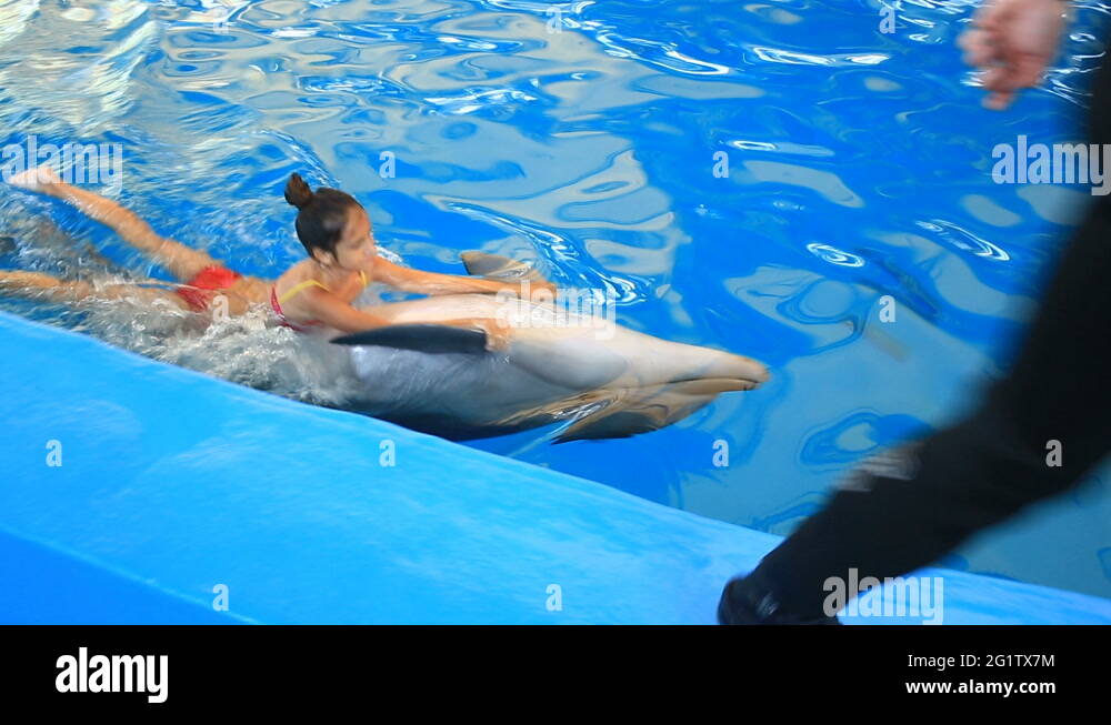 Girl on dolphin Stock Videos & Footage - HD and 4K Video Clips - Alamy