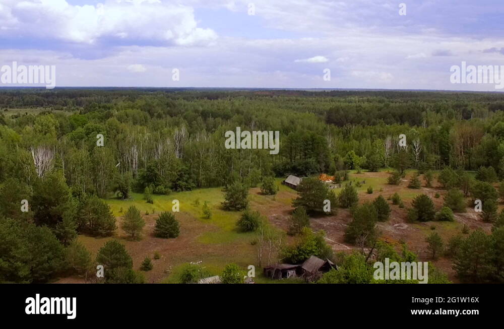 Overgrown nature in chernobyl Stock Videos & Footage - HD and 4K Video ...