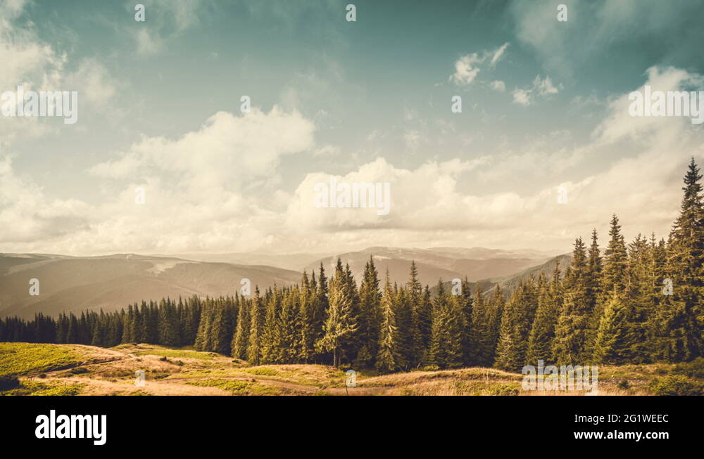 Retro postcard Stock Videos & Footage - HD and 4K Video Clips - Alamy