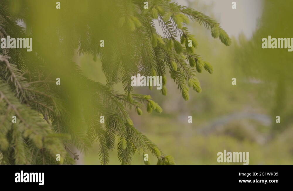 Bran new Stock Videos & Footage - HD and 4K Video Clips - Alamy