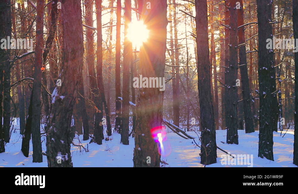 Sunset sun light and shadow in winter Stock Videos & Footage - HD and ...