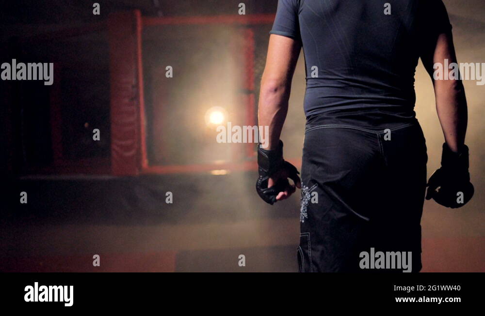 Red fighter Stock Videos & Footage - HD and 4K Video Clips - Alamy