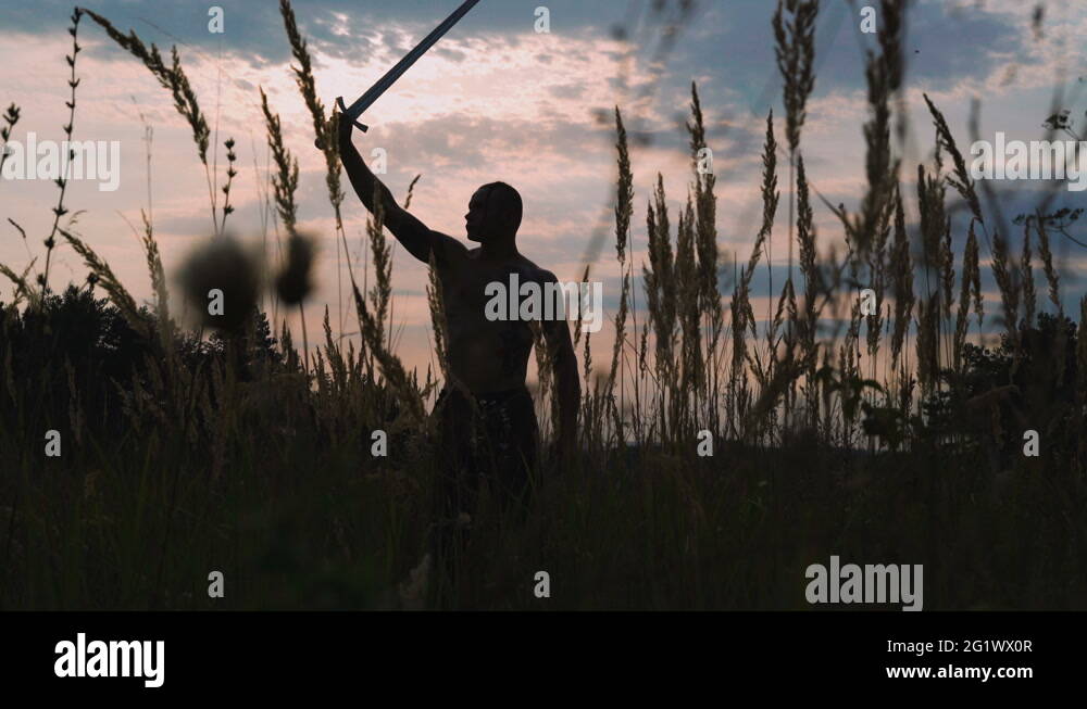 Modern cossack workouts with swords at the wild fields 4K Stock Video ...