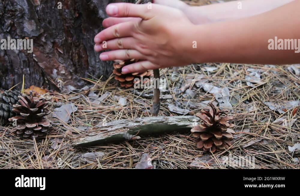 Force of friction Stock Videos & Footage - HD and 4K Video Clips - Alamy