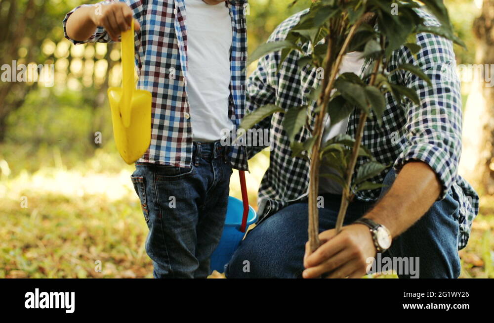 Man boy planting tree Stock Videos & Footage - HD and 4K Video Clips ...