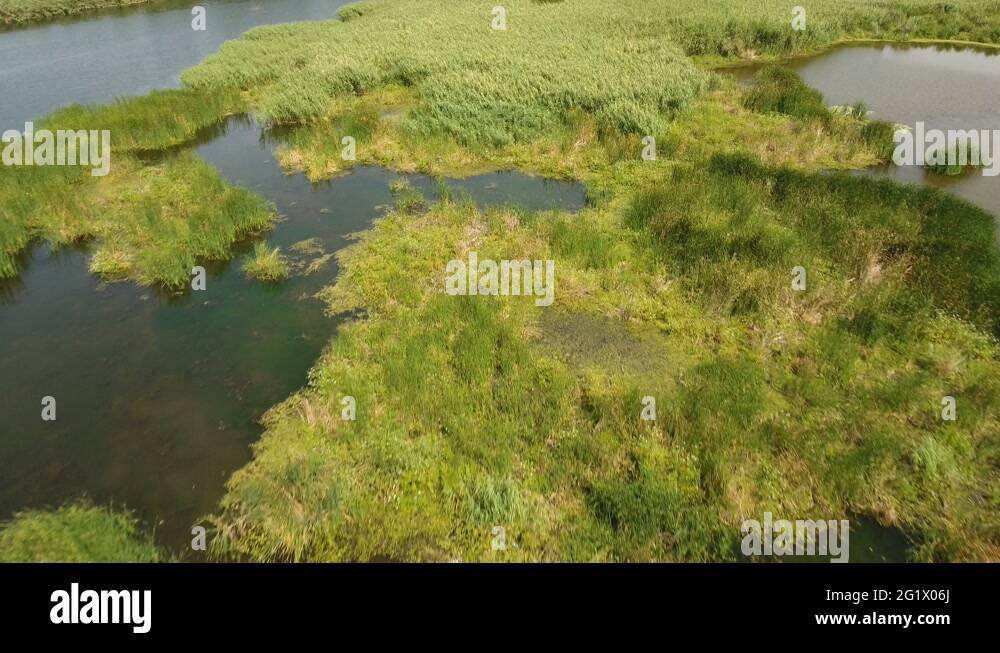 Green eye patches Stock Videos & Footage - HD and 4K Video Clips - Alamy
