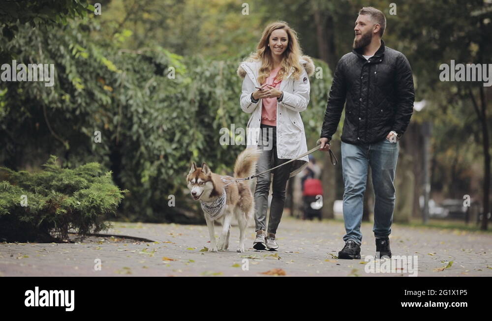 Man dog woman park not couple Stock Videos & Footage - HD and 4K Video ...