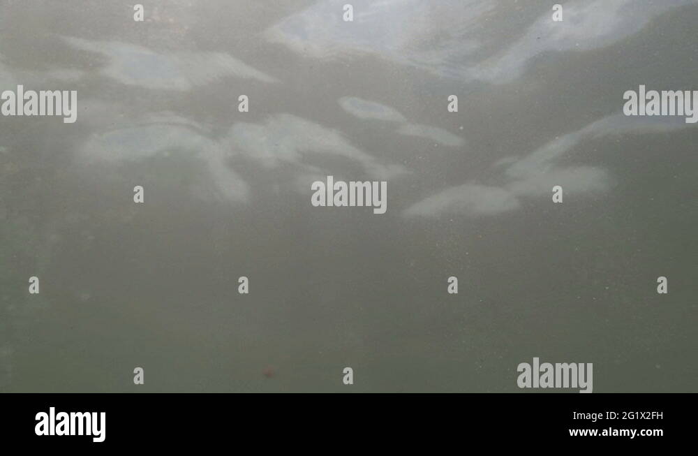 Underwater particles Stock Videos & Footage - HD and 4K Video Clips - Alamy