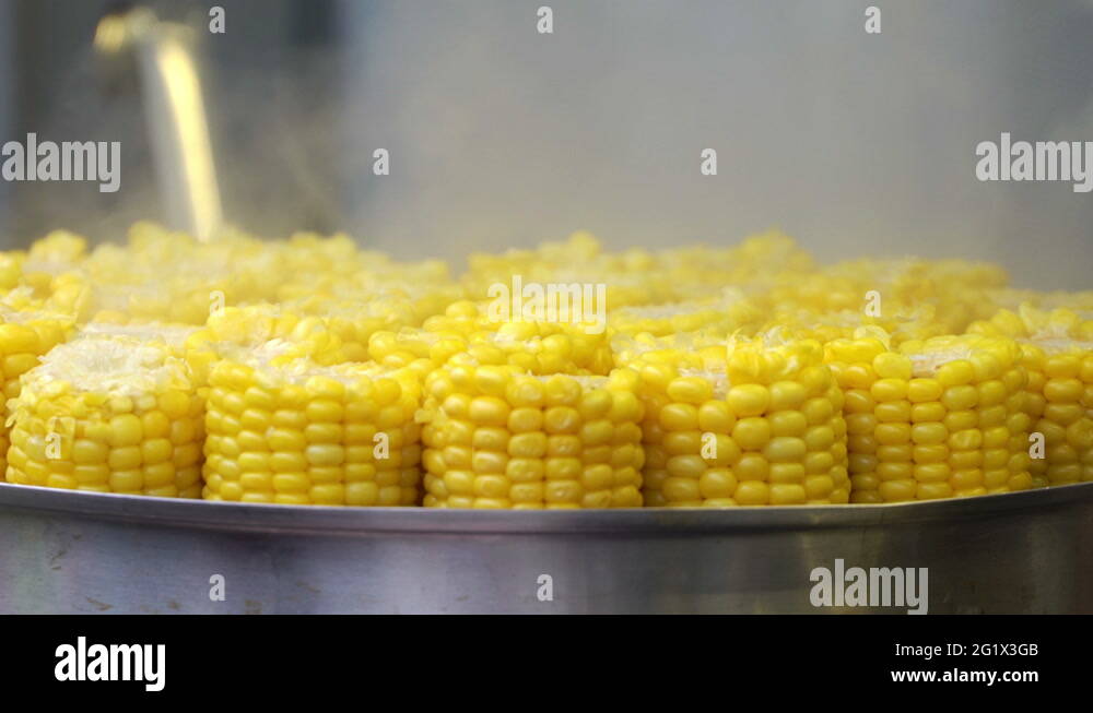 Street fast food. Cooking corn in boiled water. Sweet corn sold at city ...