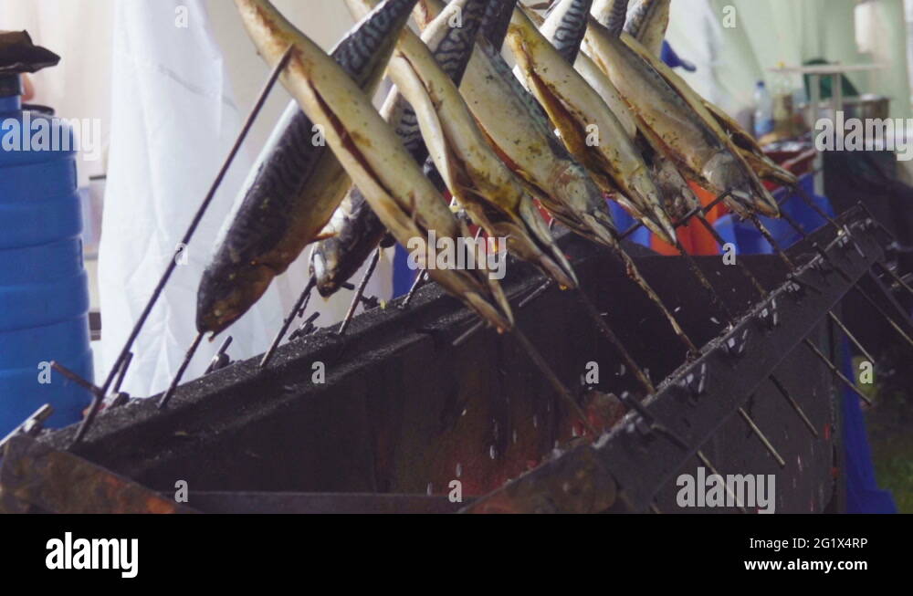 Cold smoking fish Stock Videos & Footage - HD and 4K Video Clips - Alamy