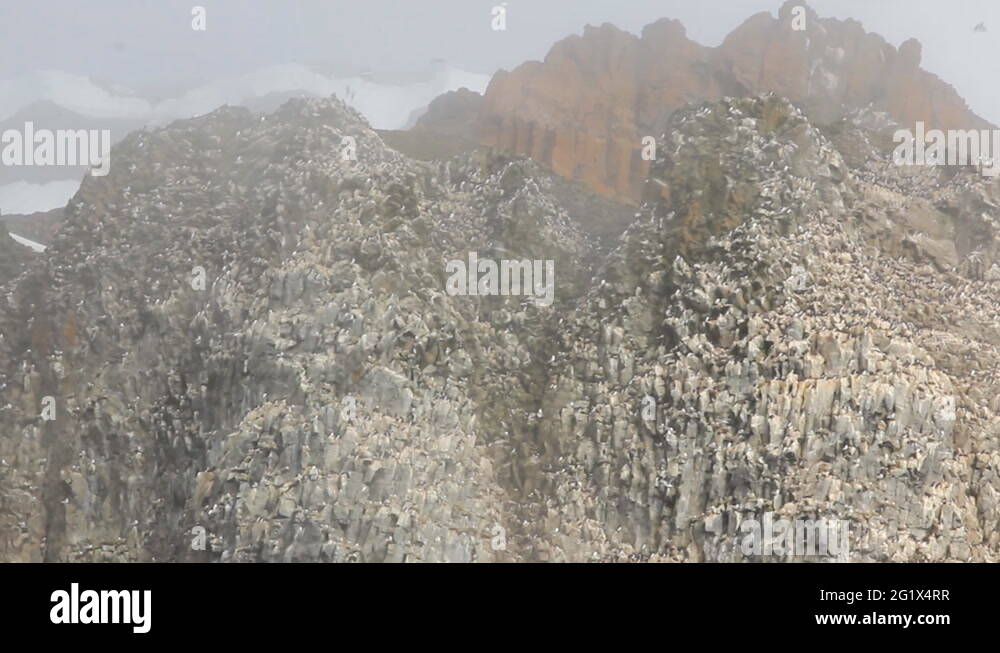 Misty rocks Stock Videos & Footage - HD and 4K Video Clips - Alamy