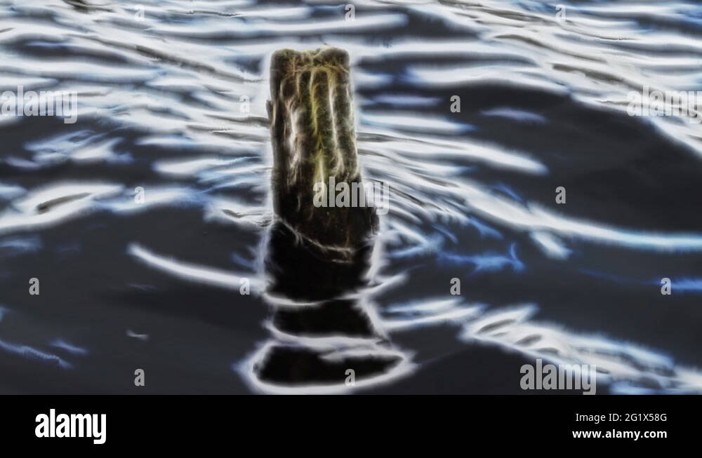 Water environment Stock Videos & Footage - HD and 4K Video Clips - Alamy