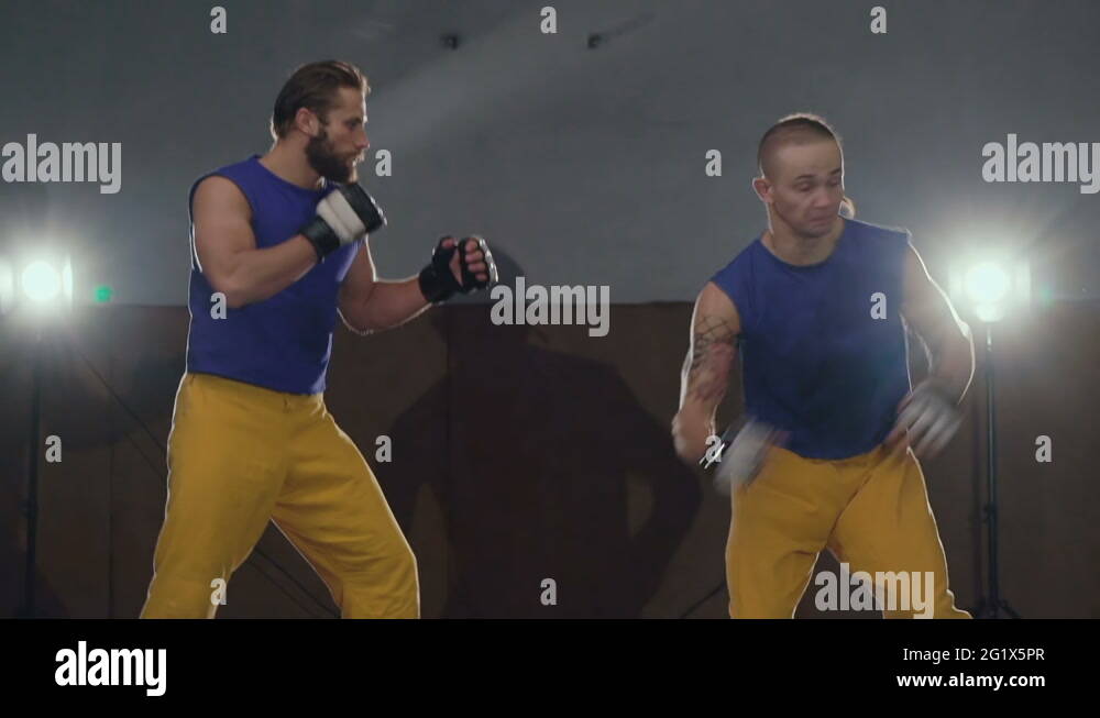 Two free fighters boxing in the gym. Slowly Stock Video Footage - Alamy
