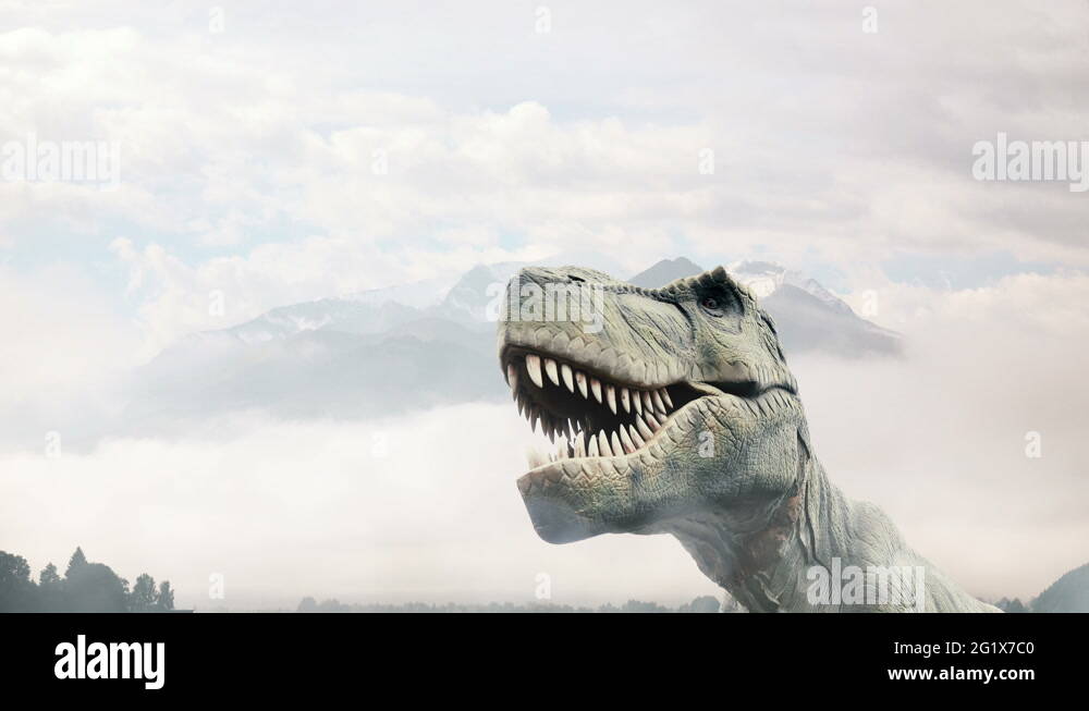 Dinosaur Explores the Area and Looks for Food. T-Rex Protects its ...