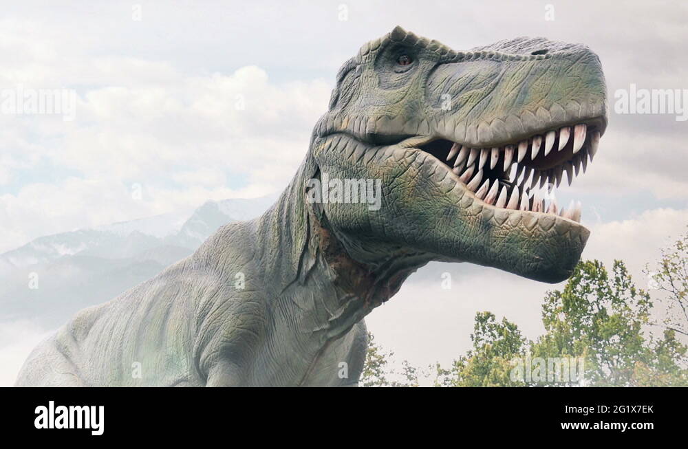 Tyrannosaur rex Stock Videos & Footage - HD and 4K Video Clips - Alamy