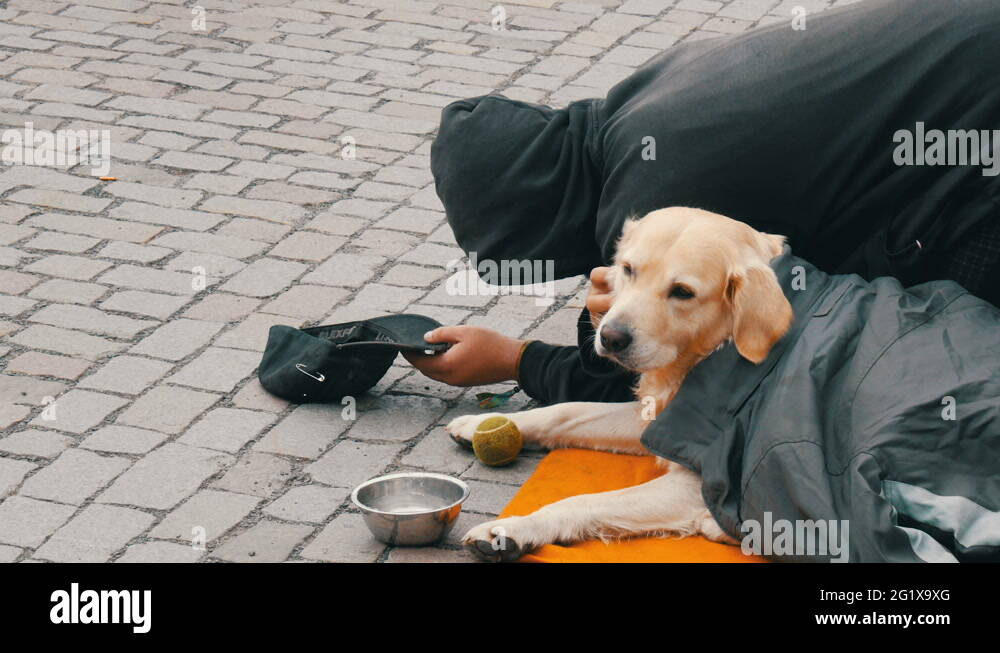 Poor man kneels on the pavement with his outstretched hand and black ...