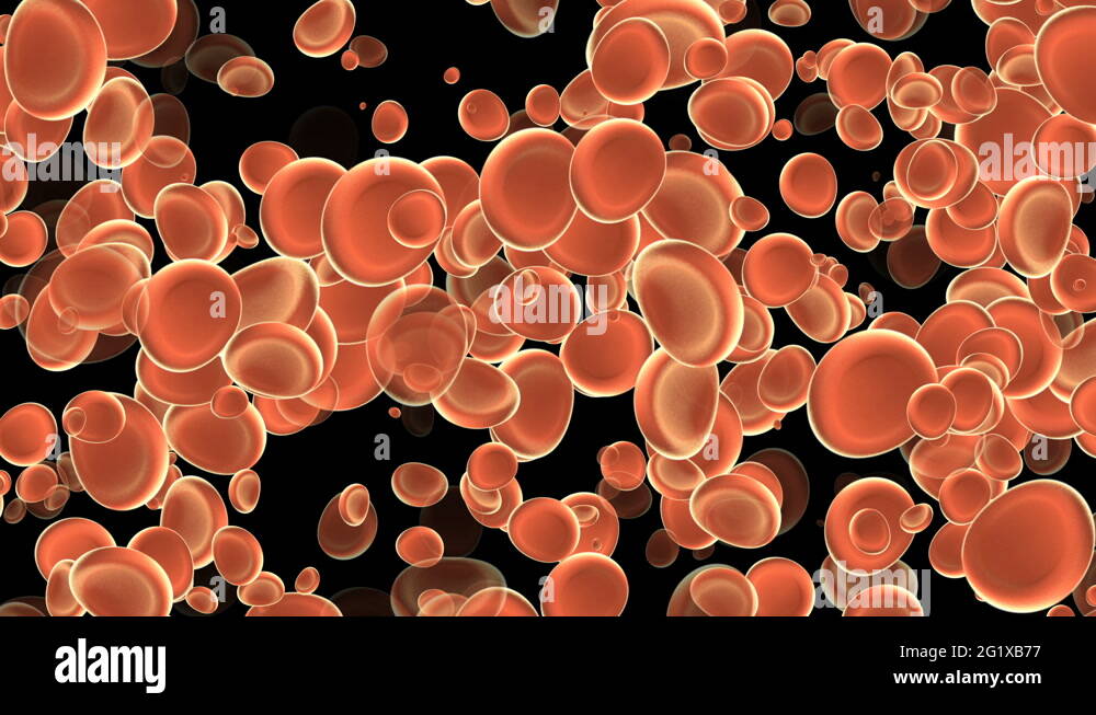 work of the body of the blood cells. cinematic background. 3d animation ...