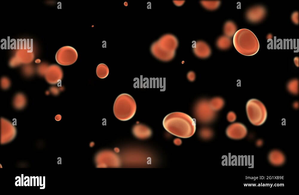 appearance and division of blood cells. medical background. 3d ...