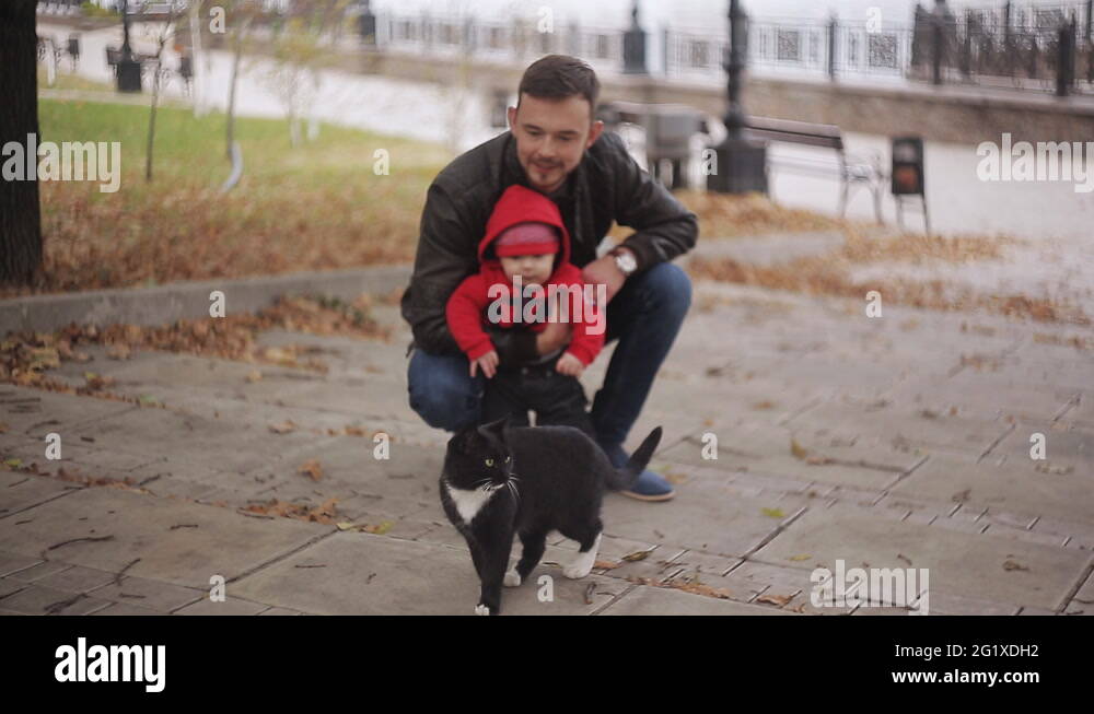 the baby first saw a black cat. Dad and son in the park park Stock ...