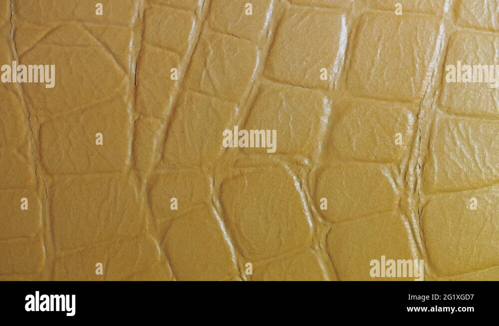 Crocodile pattern Stock Videos & Footage - HD and 4K Video Clips - Alamy