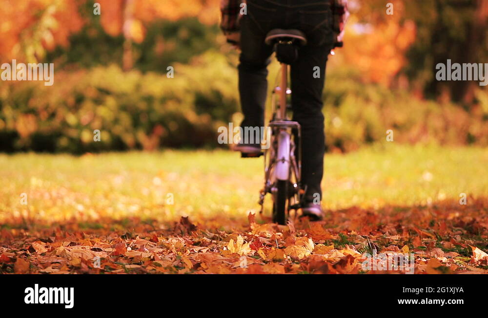 L grass Stock Videos & Footage - HD and 4K Video Clips - Alamy