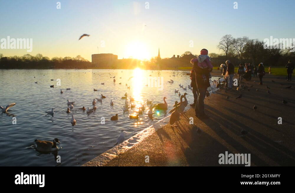 London hyde park birds Stock Videos & Footage - HD and 4K Video Clips ...