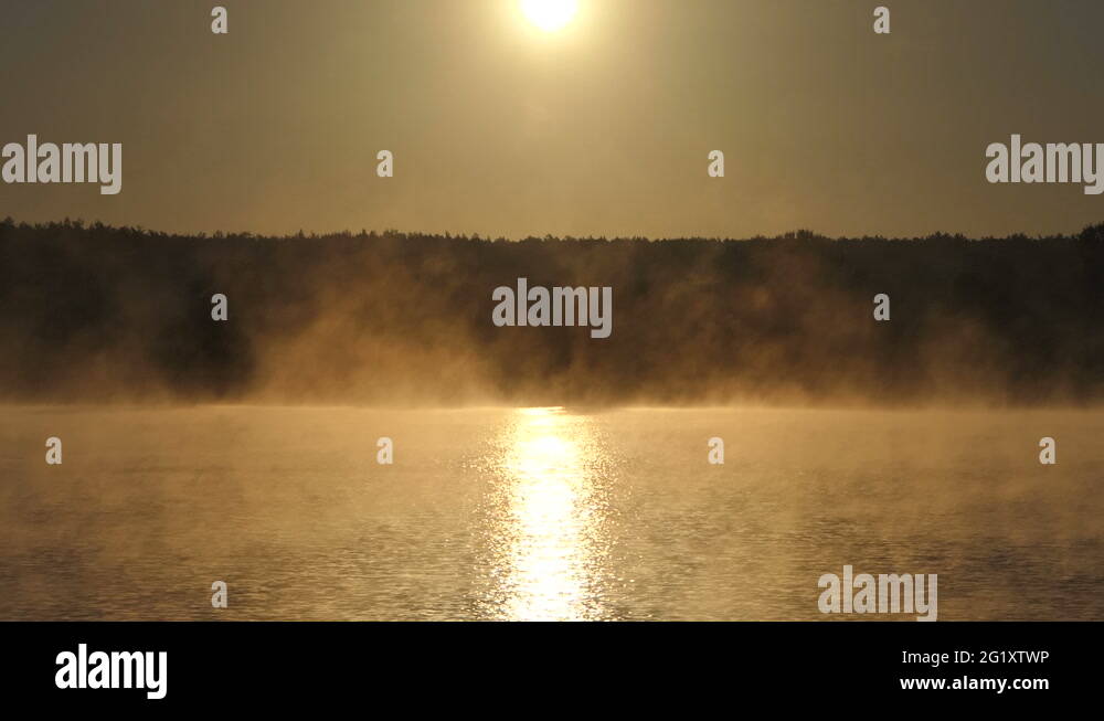 Summer sun and mist Stock Videos & Footage - HD and 4K Video Clips - Alamy