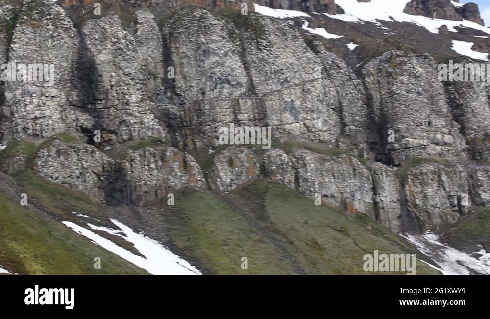 Northern rookery Stock Videos & Footage - HD and 4K Video Clips - Alamy