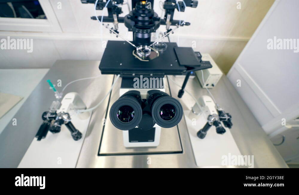 A front view on black eyepiece of a modern scientific microscope Stock ...