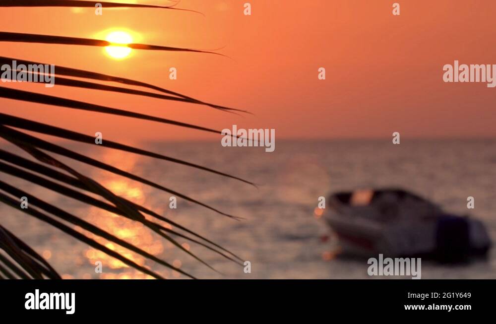 Sunset sea boat coconut tree Stock Videos & Footage - HD and 4K Video ...